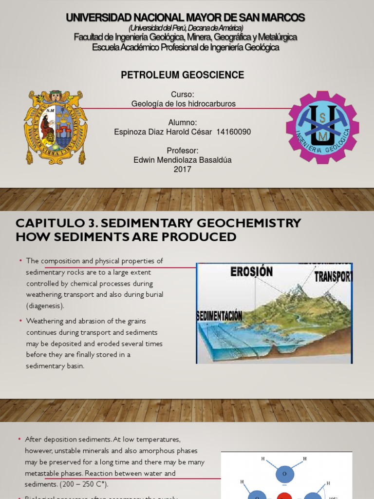 Petroleum Geoscience | PDF | Sedimentary Rock | Sandstone