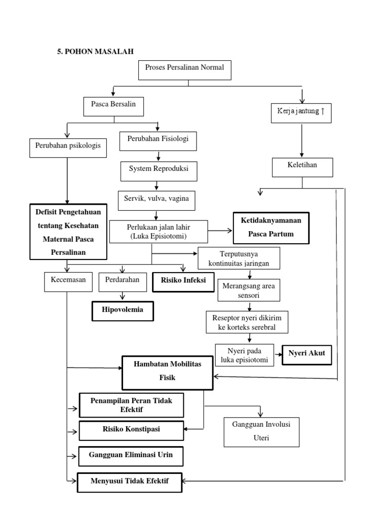 Pathway Postnatal Fix Revisi | PDF