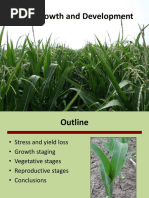 Understanding the Zadoks Growth Scale | PDF | Plant Morphology | Plant ...