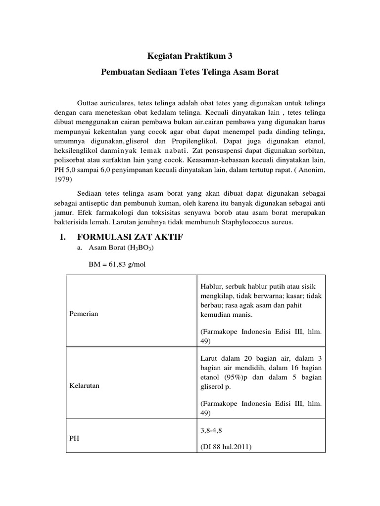 Asam Borat | PDF