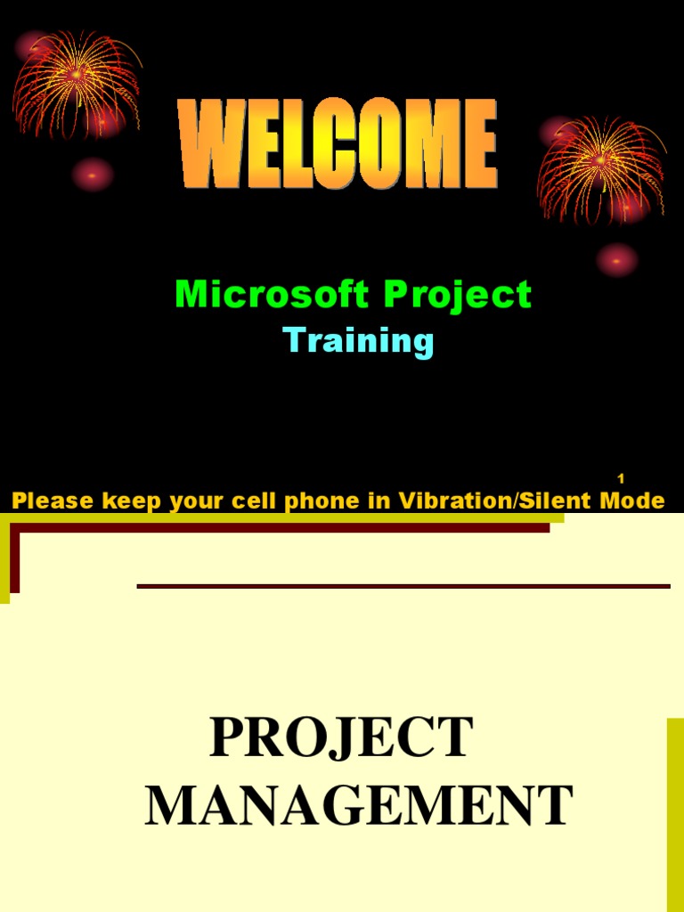 Microsoft Project Training Overview | PDF | Project Management | Computing