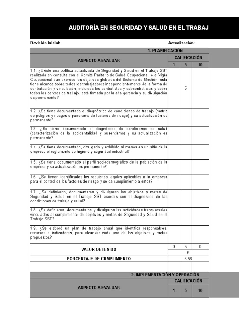 Auditoria en Seguridad y Salud en El Trabajo | Seguridad y salud ocupacional | Salud pública
