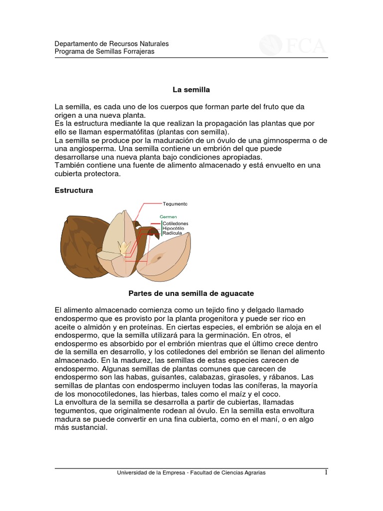 Semilla Mod I Interior-0056-0247 | PDF | Técnicas hortícolas | Semilla