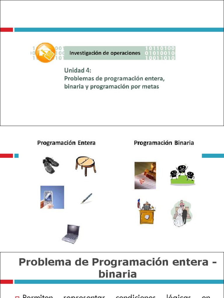 Programacion Entera Binaria | Economias | Business