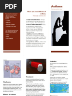 Respiratory Inhaler Identification Chart | PDF | Pharmaceutical ...