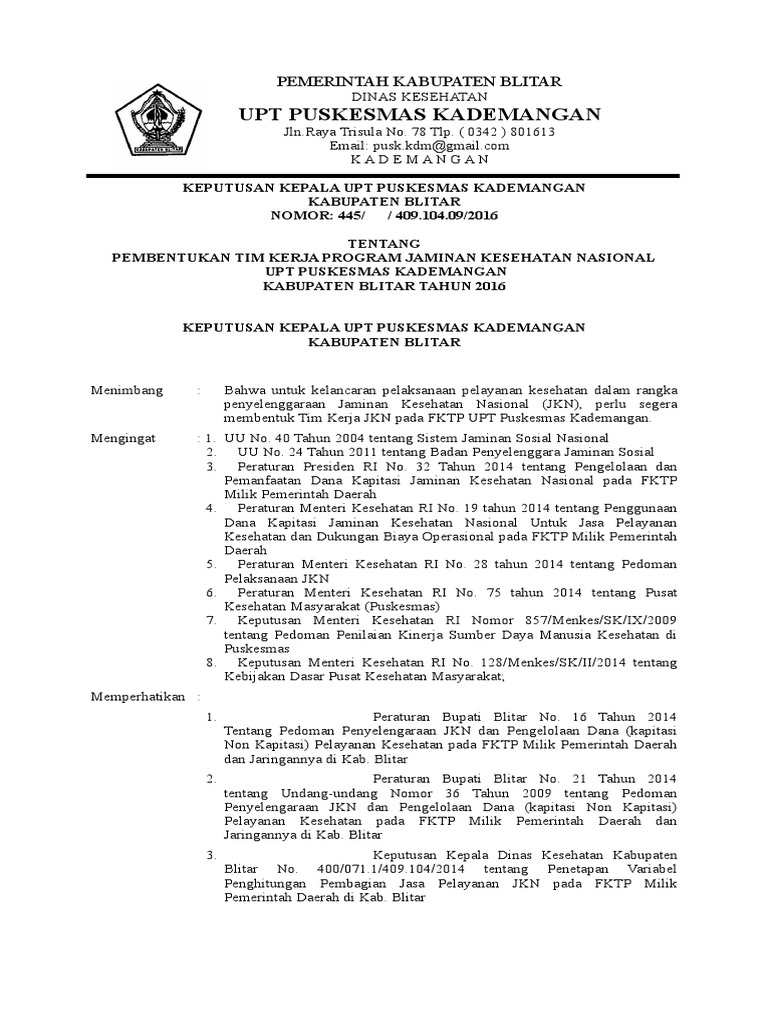 SK Tim Kerja JKN | PDF