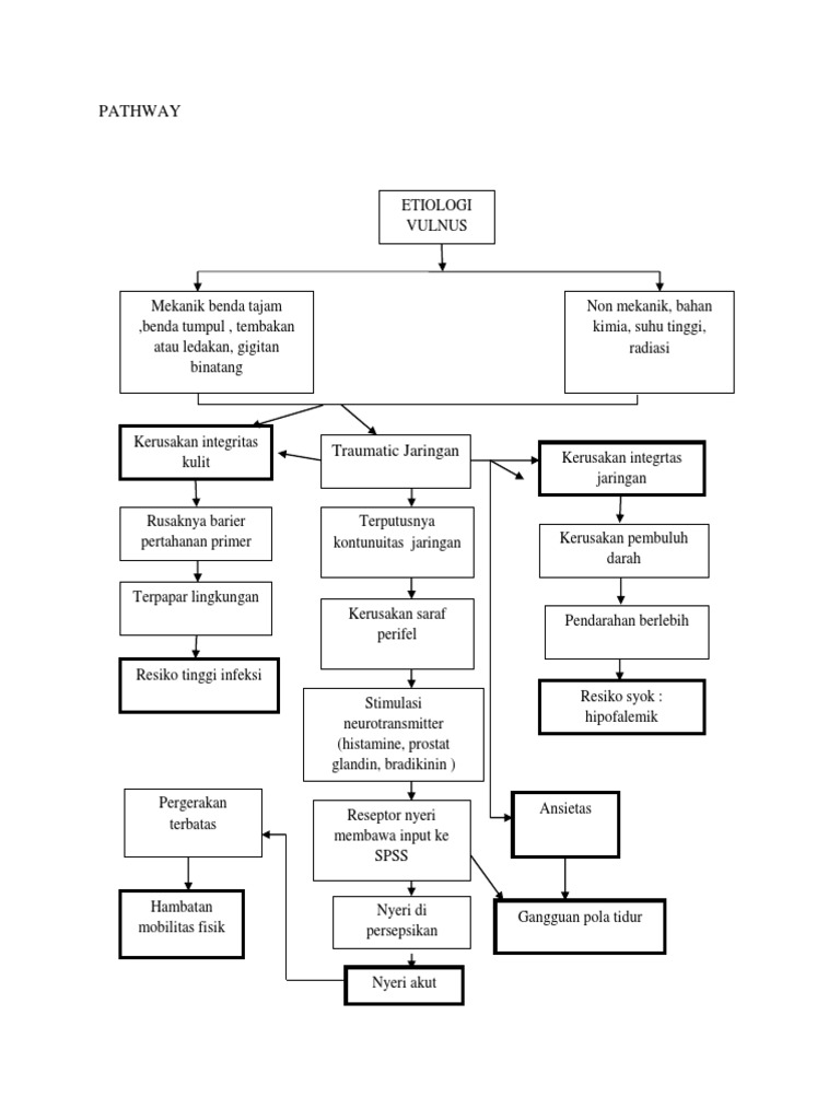 Pathway Luka Tembak | PDF
