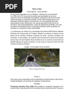 Componentes Del Humedal | PDF | Humedal | Plantas