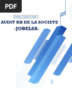 Audit Des Ressources Humaines | PDF | Audit | Audit interne