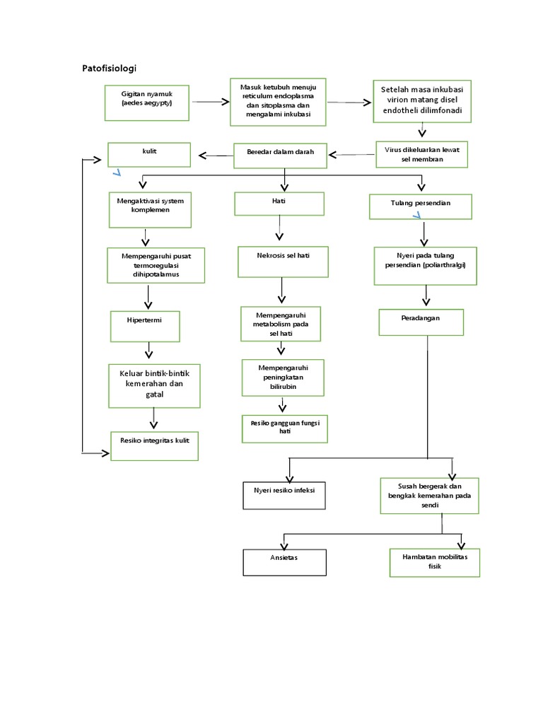 Pathway Chikungunya | PDF