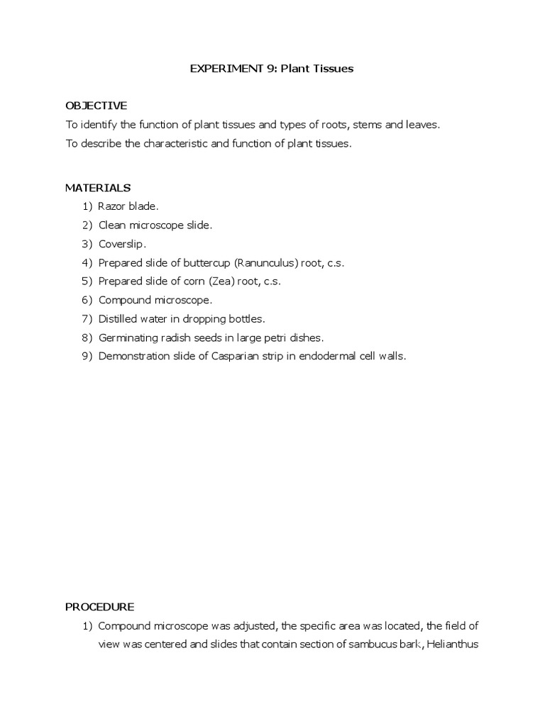 Lab Report Plant Tissues | Leaf | Plant Stem