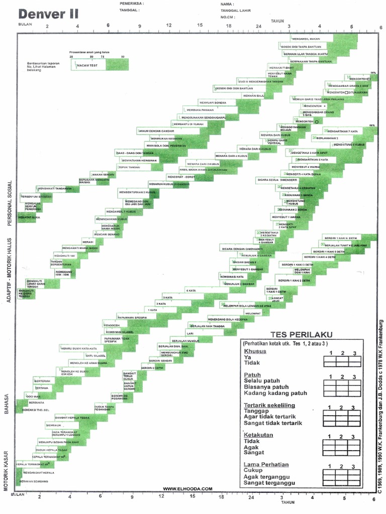 Denver II DDST Indonesia PDF | PDF