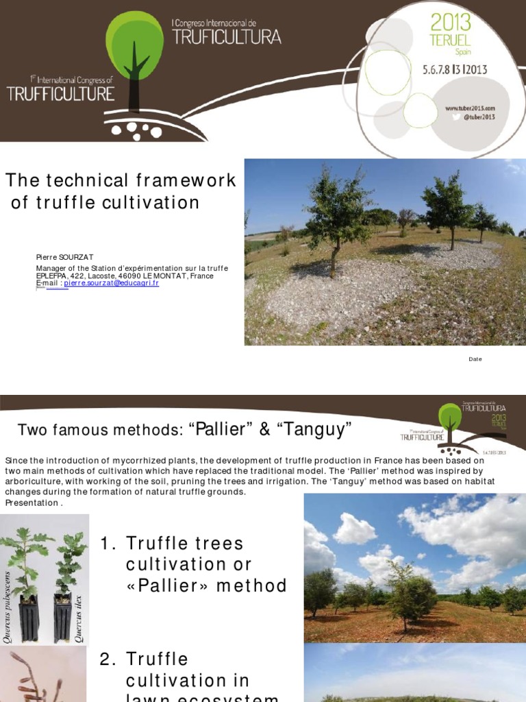 06 The Technical Framework of Truffle Cultivation | PDF | Tillage | Soil