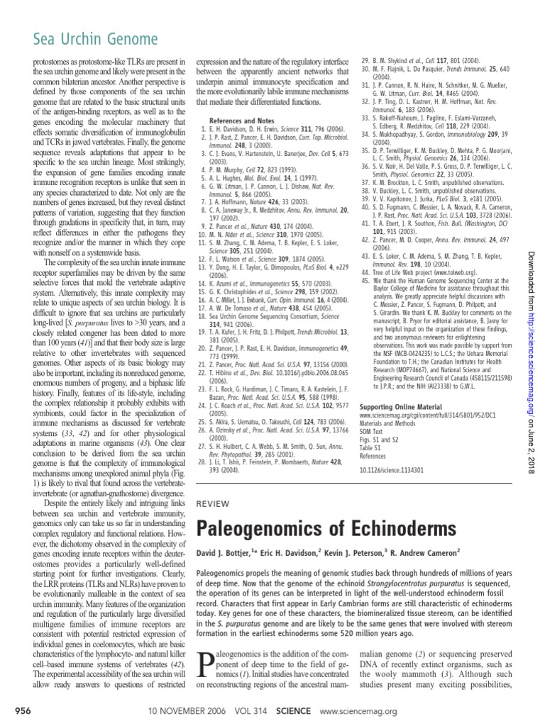 Paleogenomics of Echinoderms | PDF | Gene | Evolution