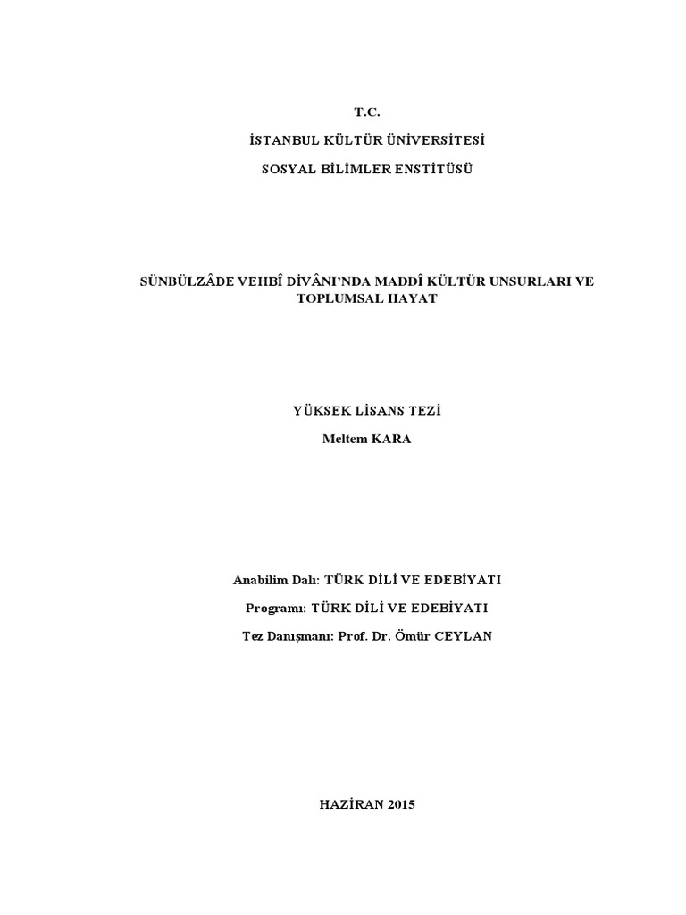 Meltem Yl Tez | PDF