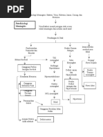 Definisi, Etiologi, Klasifikasi, Patofisiologi DHF | PDF | Kesehatan Holistik