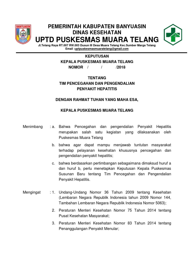 SK Hepatitis Wiwik | PDF