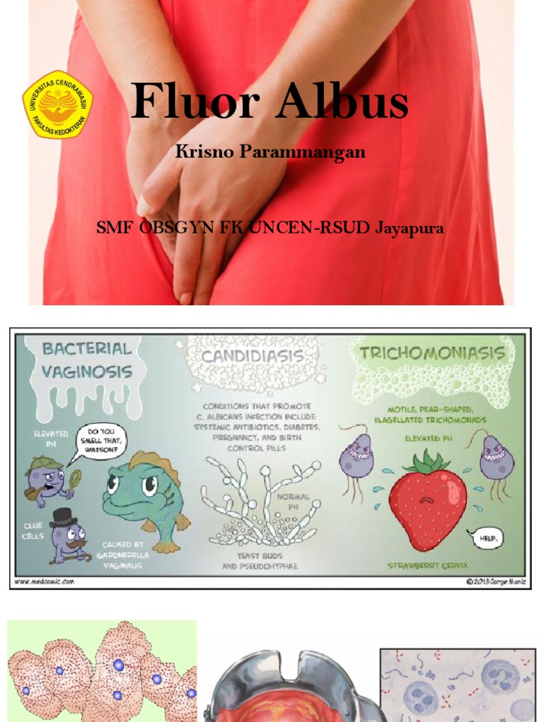 Flour Albus Ino | PDF