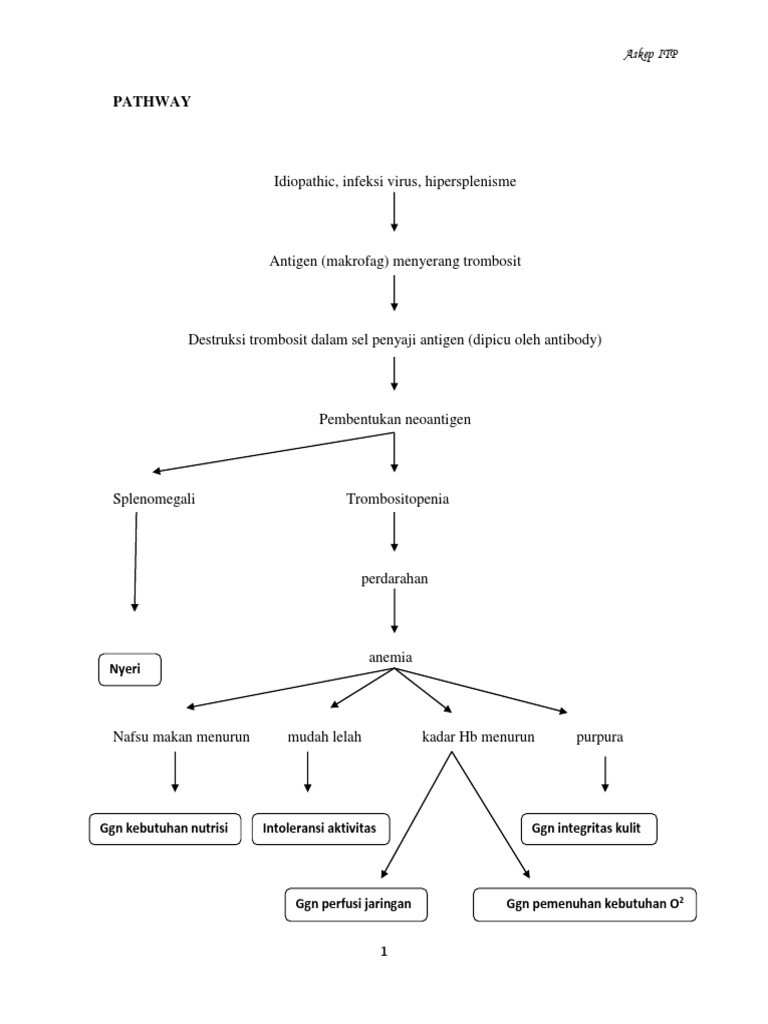 Pathway Trombositopenia dan ITP | PDF