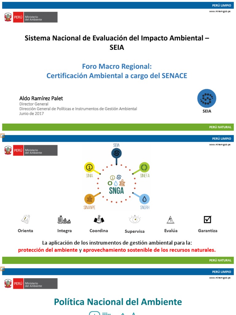 Sistema Nacional de Evalucion Del Impacto Ambiental SEIA Minam | PDF ...