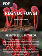 Regnul Fungi | PDF