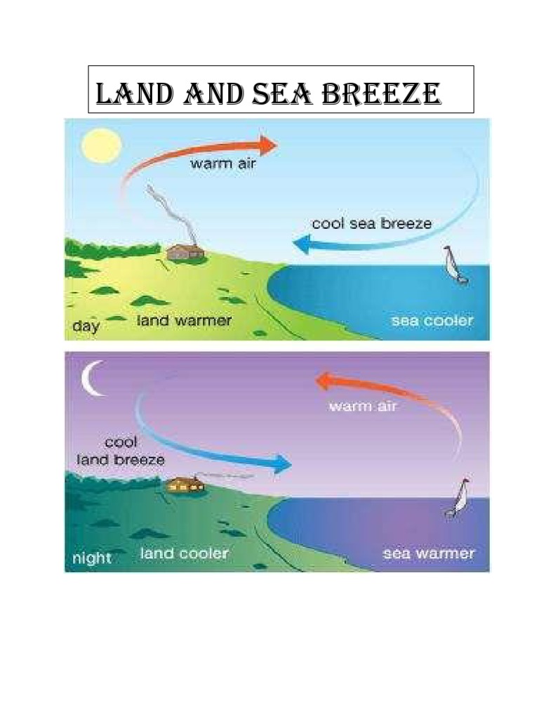 Land and Sea Breeze | PDF | Planets Of The Solar System | Earth