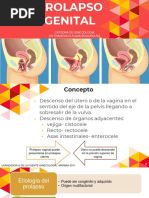 Trastornos de La Estática Pélvica | PDF | Vagina | Vejiga urinaria