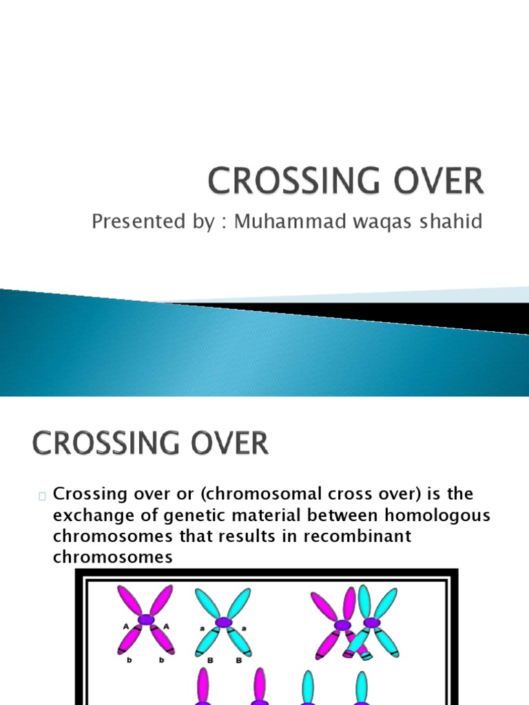 Crossing Over | PDF | Meiosis | Genetic Recombination