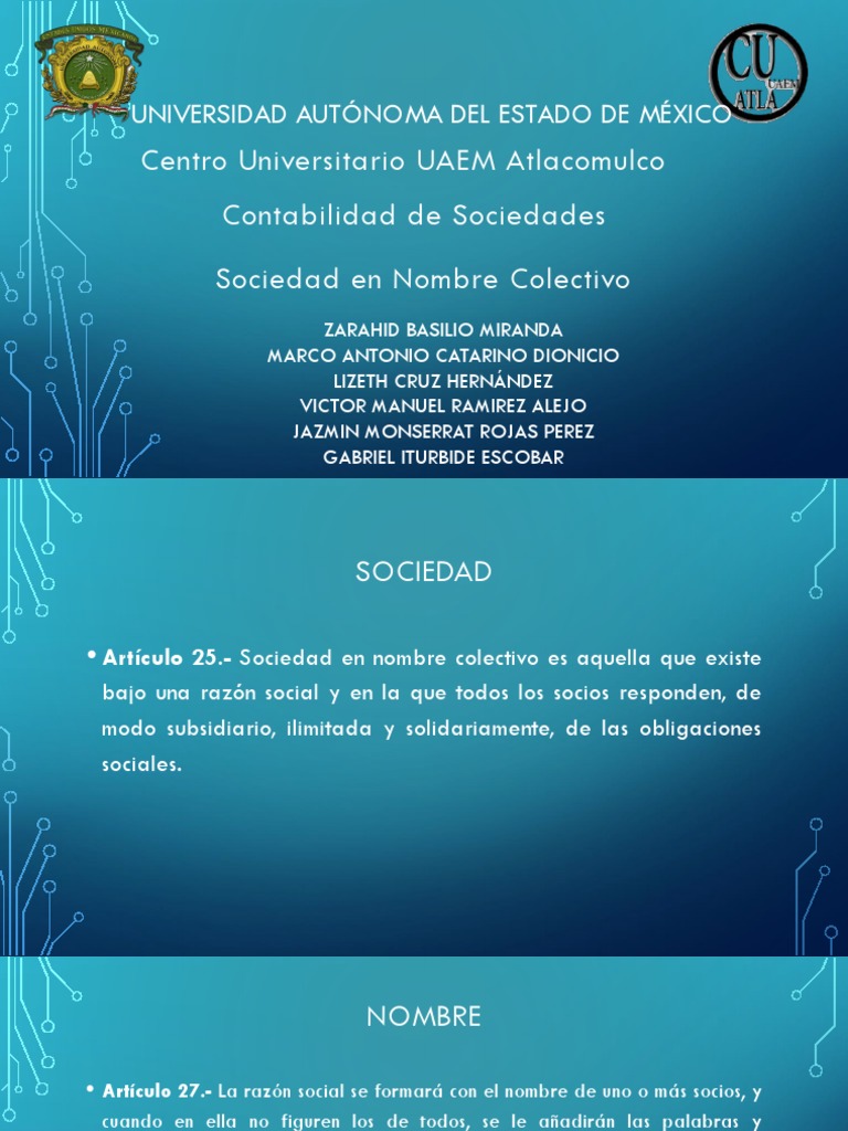 Sociedad en Nombre Colectivo | PDF | Sociedad de responsabilidad limitada | Gobierno