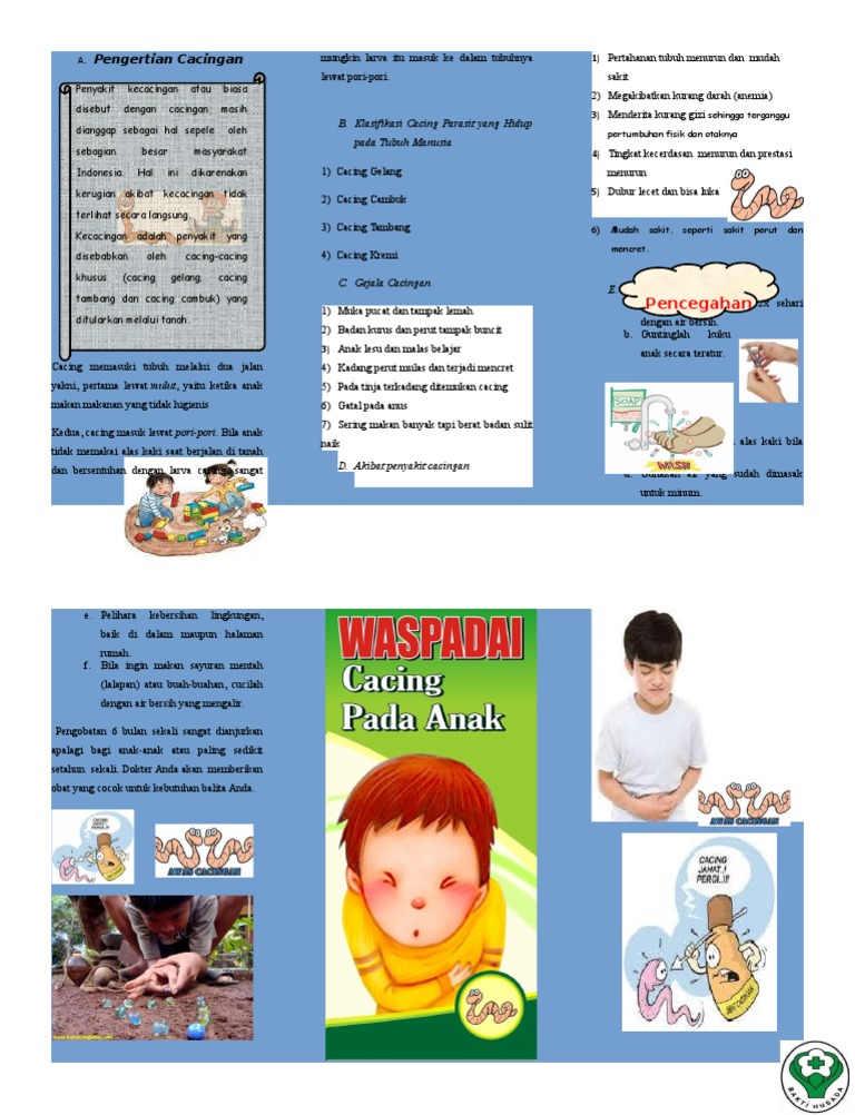 Leaflet Kecacingan | PDF