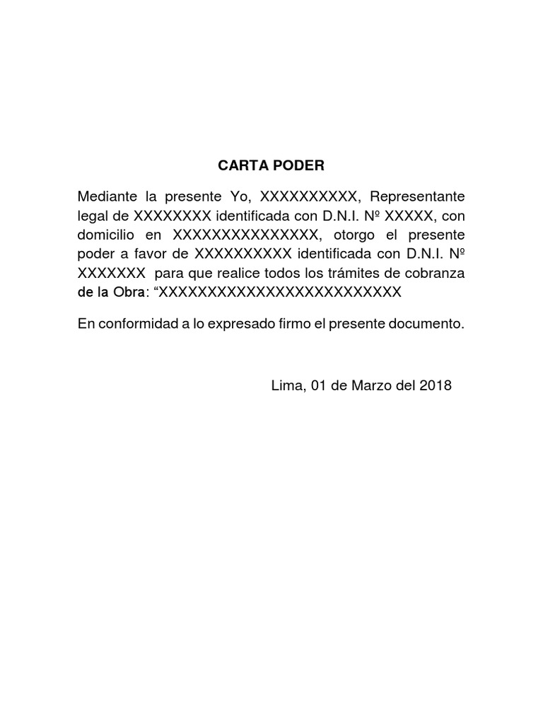 Carta Poder Model | PDF