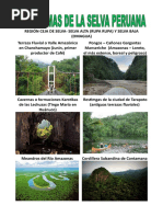 Tablazos: Ecosistemas Marinos en Perú | PDF | Perú | Geología