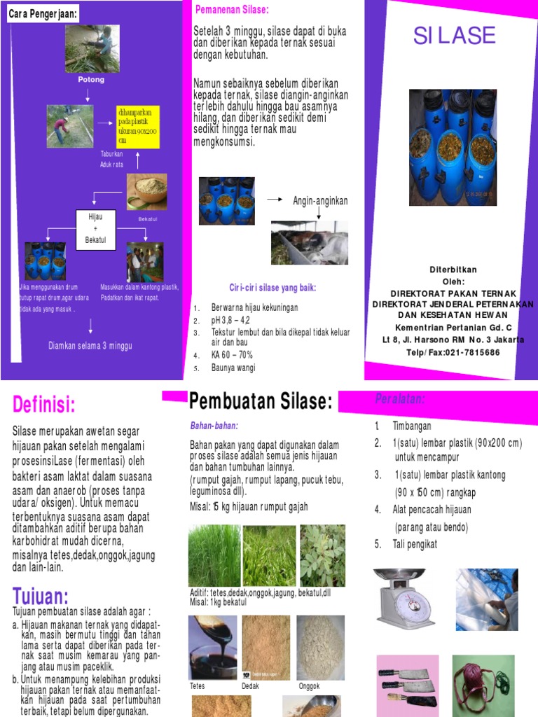 Leaflet Silase PDF | PDF