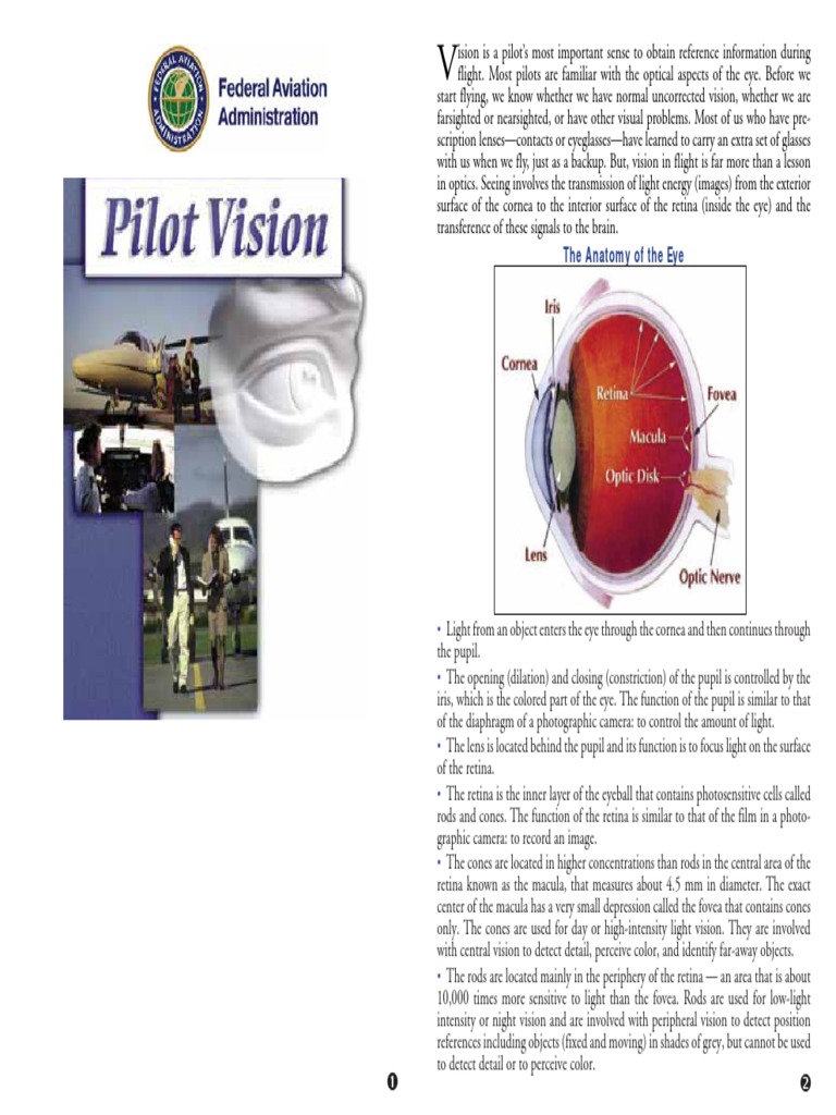 Pilot Vision PDF | PDF | Eye | Visual Perception