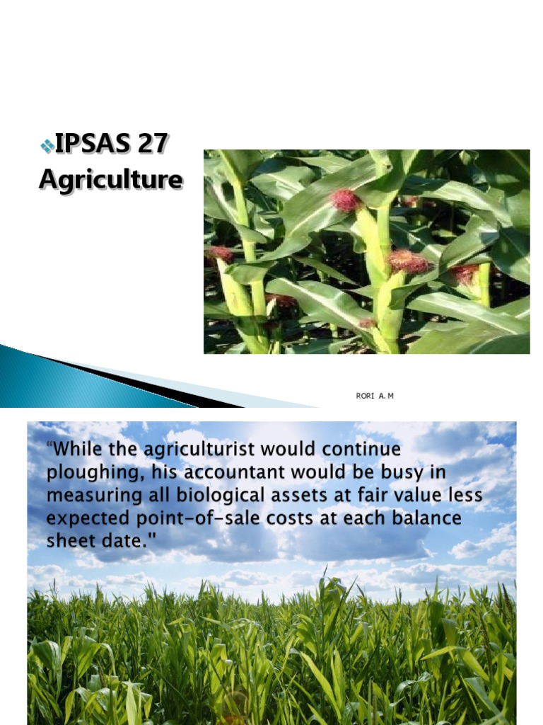 Ipsas 27 Agriculture | PDF | Fair Value | Depreciation