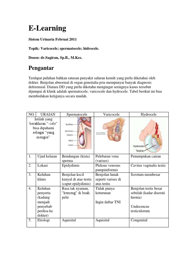 V ARIKOKEL | PDF | Buah Pelir | Ultrasonografi Medis