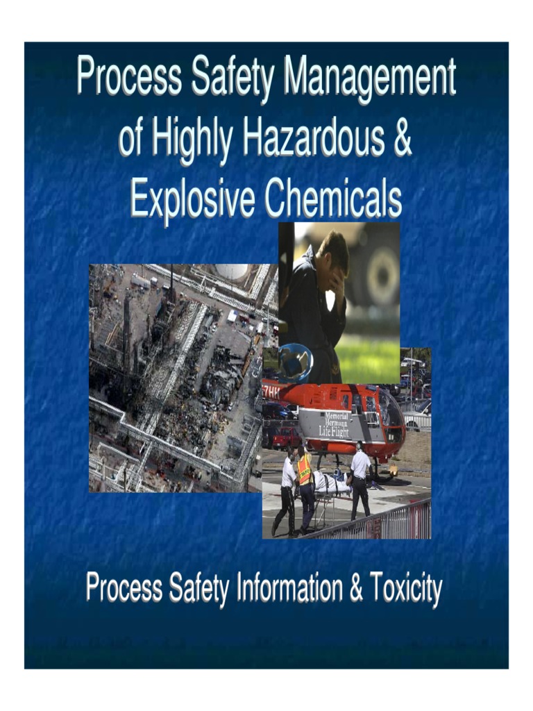 Process Safety for Explosive Chemicals | PDF | Dangerous Goods | Solubility