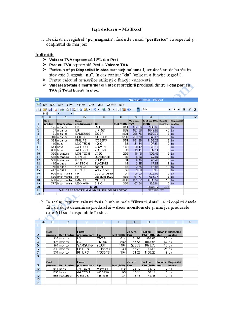 Fisa Excel Recapitulativa2 PDF | PDF