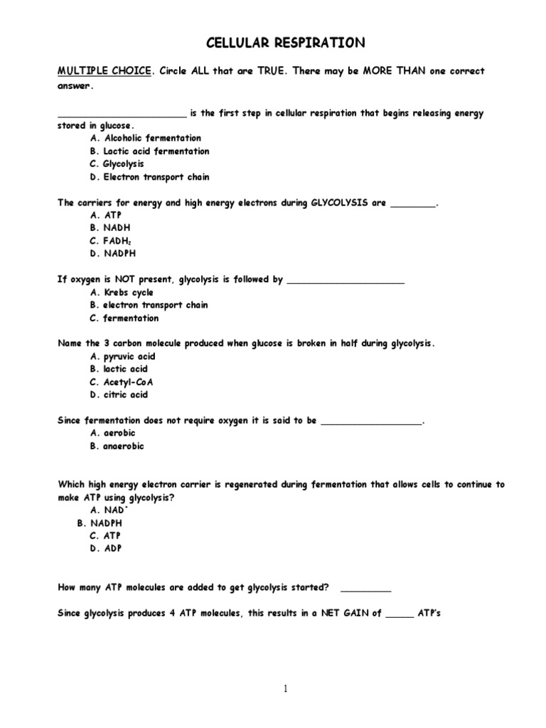 CELLULAR RESPIRATION Review Worksheet | PDF | Cellular Respiration ...