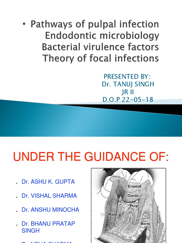 Pathway of Pulp | Biofilm | Infection