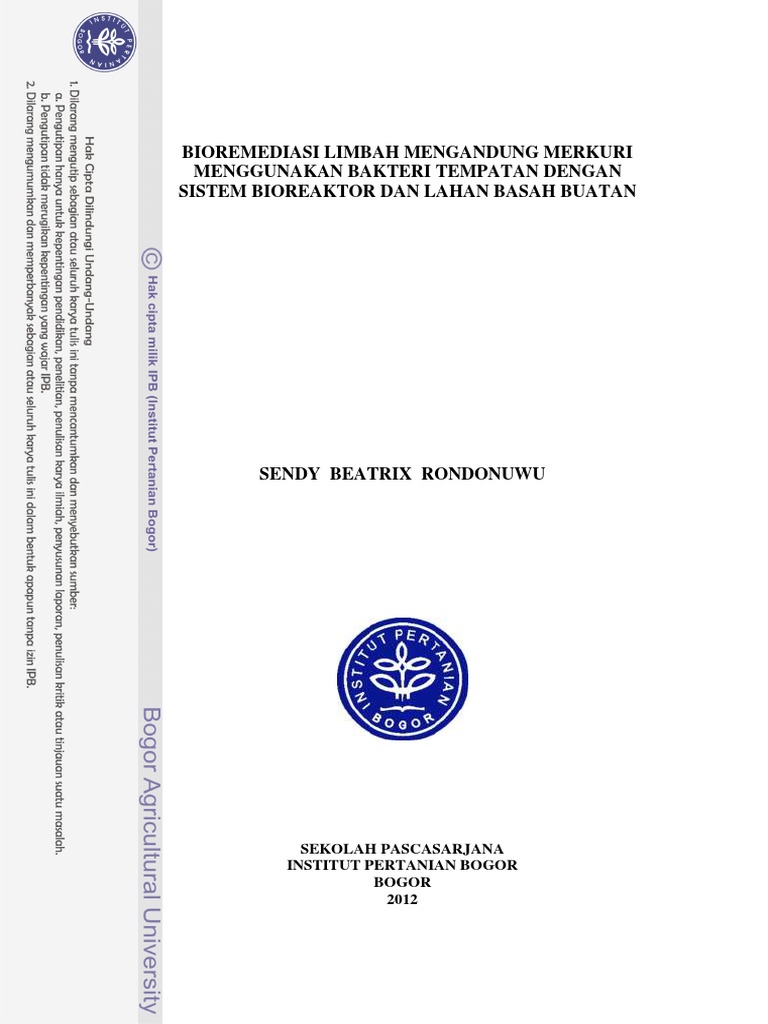 Bioremediasi Limbah Mengandung Merkuri | PDF