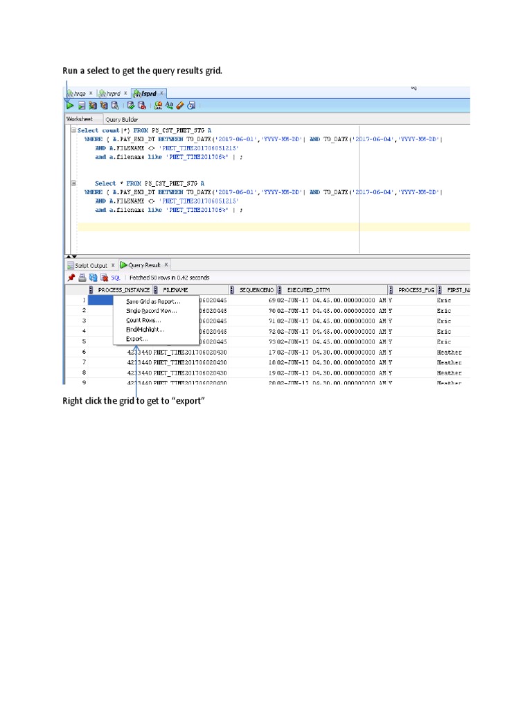 Run A Select To Get The Query Results Grid | PDF