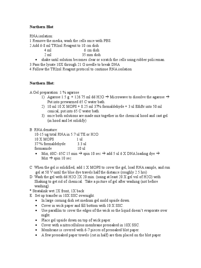 Protocol for Isolating RNA, Performing a Northern Blot, and Detecting a ...