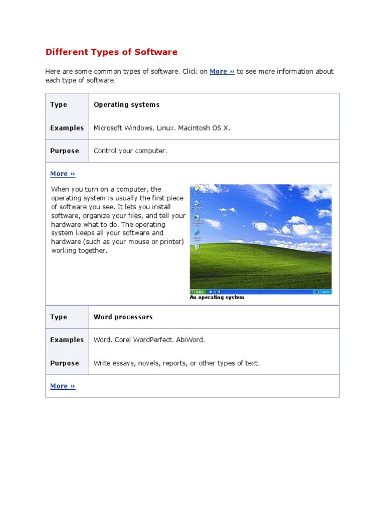 Different Types of Software | PDF | Application Software | World Wide Web