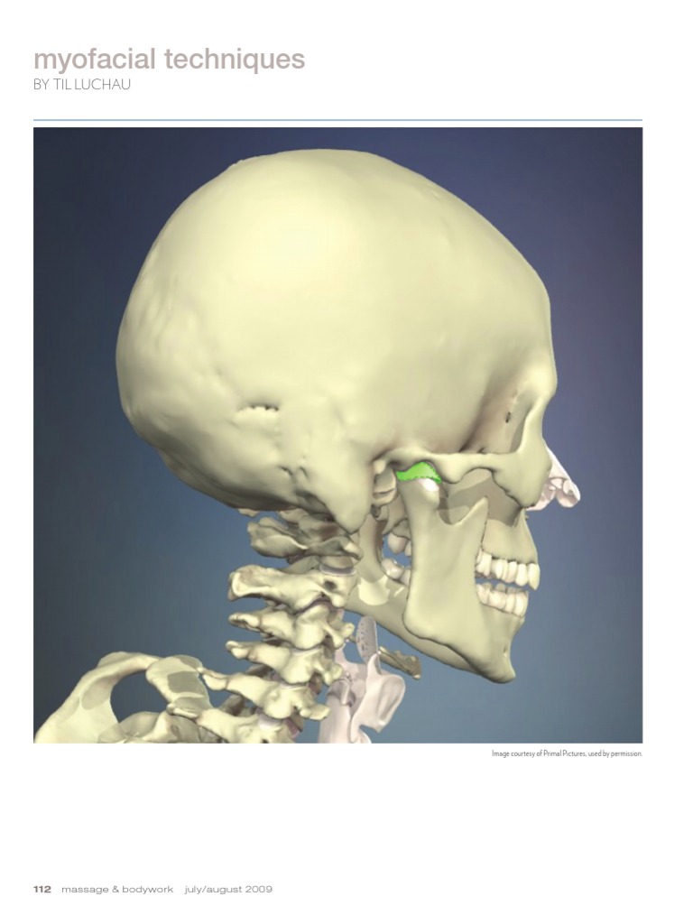 Working with the TMJ, Part I (Myofascial Techniques) | Musculoskeletal ...