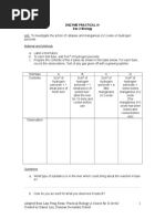 Enzyme Activity Lab Report - IB Biology | PDF | Enzyme | Catalase