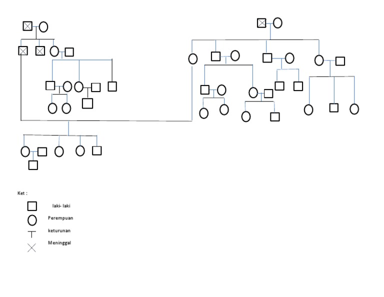 Genogram 3 Generasi | PDF
