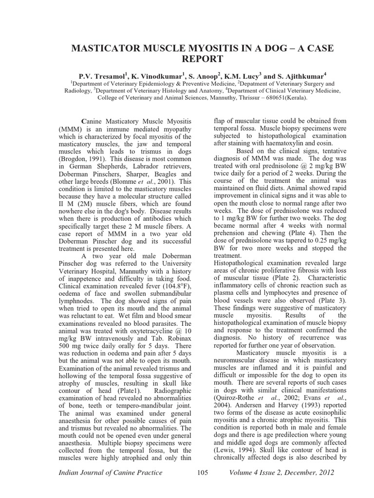 Masticator Muscle Myositis in A Dog - A Case: P.V. Tresamol, K ...