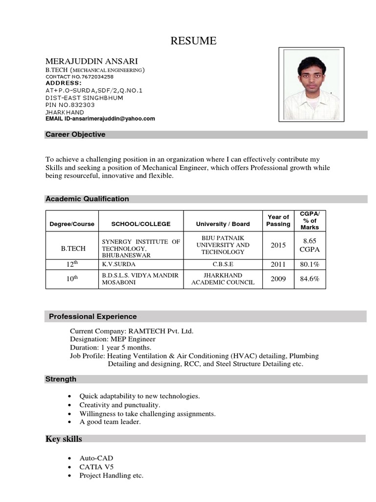 Meraj Resume With Photo | PDF | Science And Technology | Business