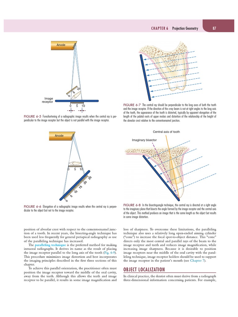 Object Localization | PDF | Dental Anatomy | Anatomical Terms Of Location